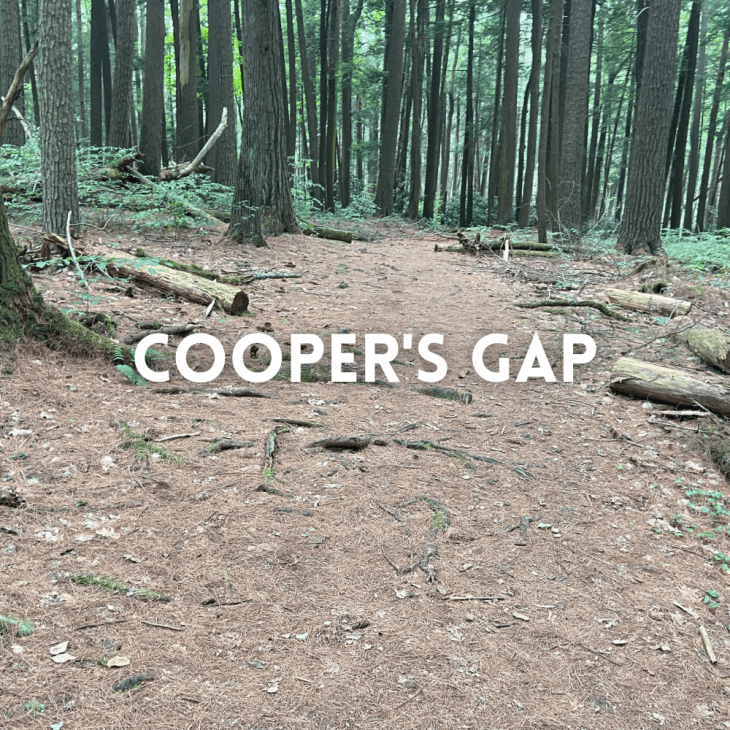 Cooper’s Gap | Hidden Language